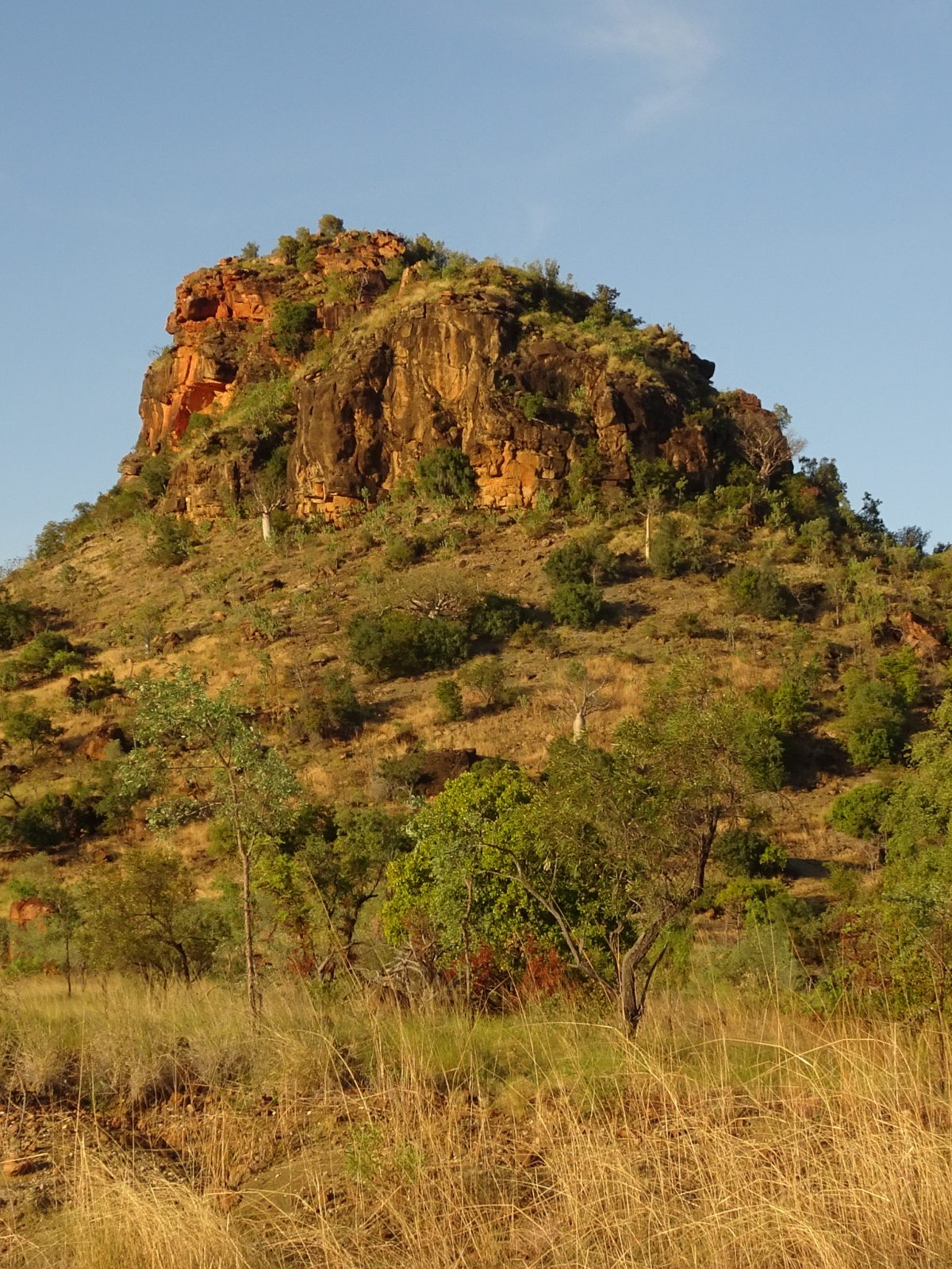 The Timber Creek Decision — ANTAR