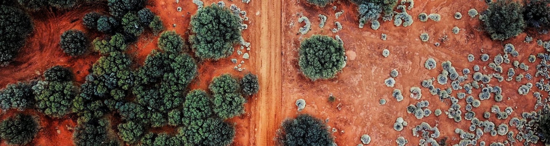 Native Title & Land Rights — ANTAR