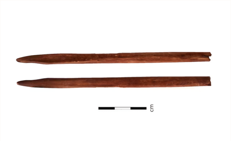 Rio Tinto's destruction of Juukan Gorge — ANTAR