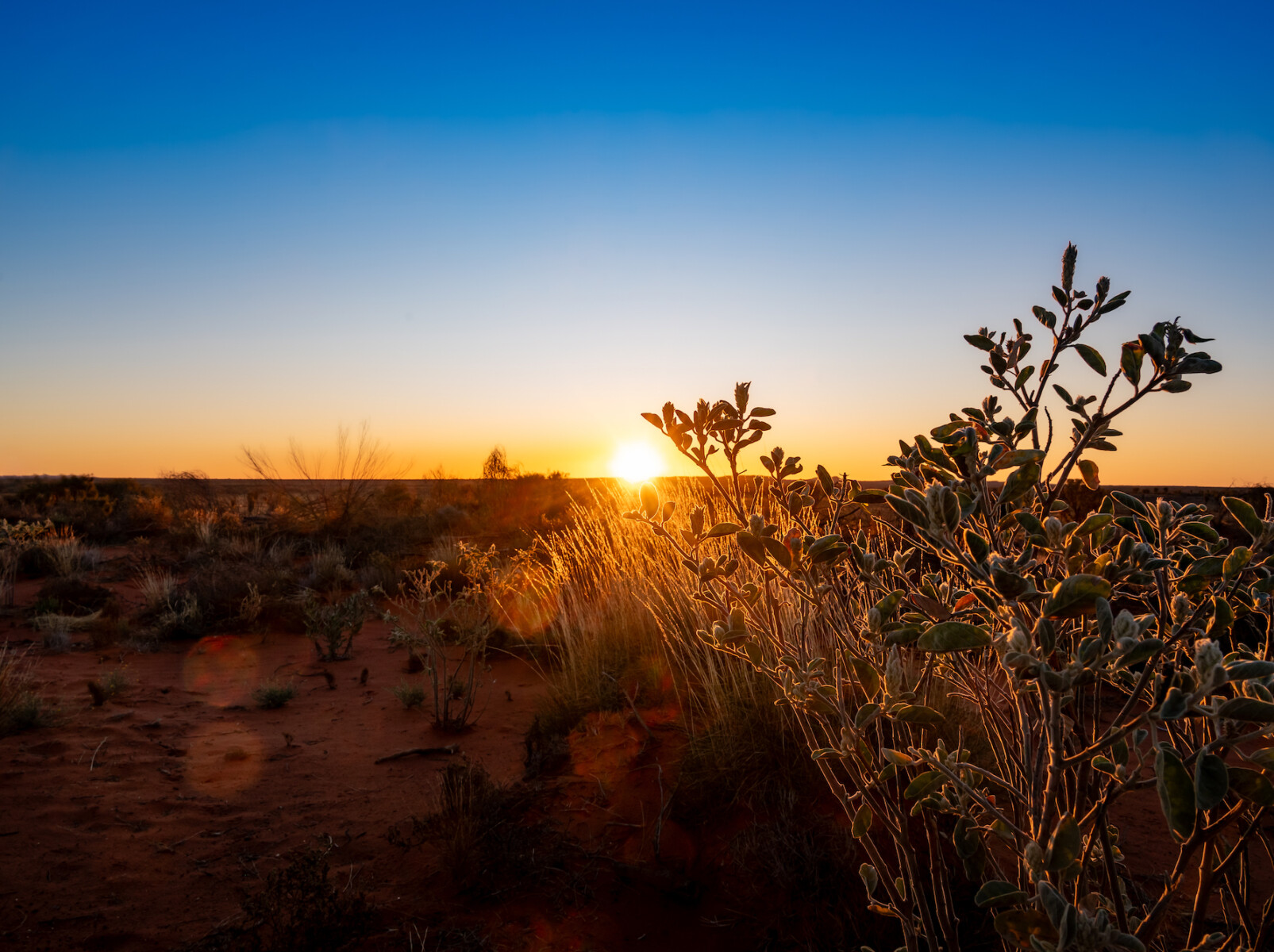About native title — ANTAR
