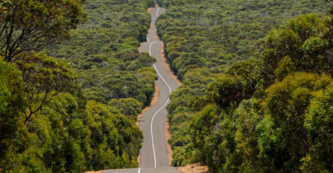 ANTAR — Justice, Rights & Respect for Australia's First Nations Peoples