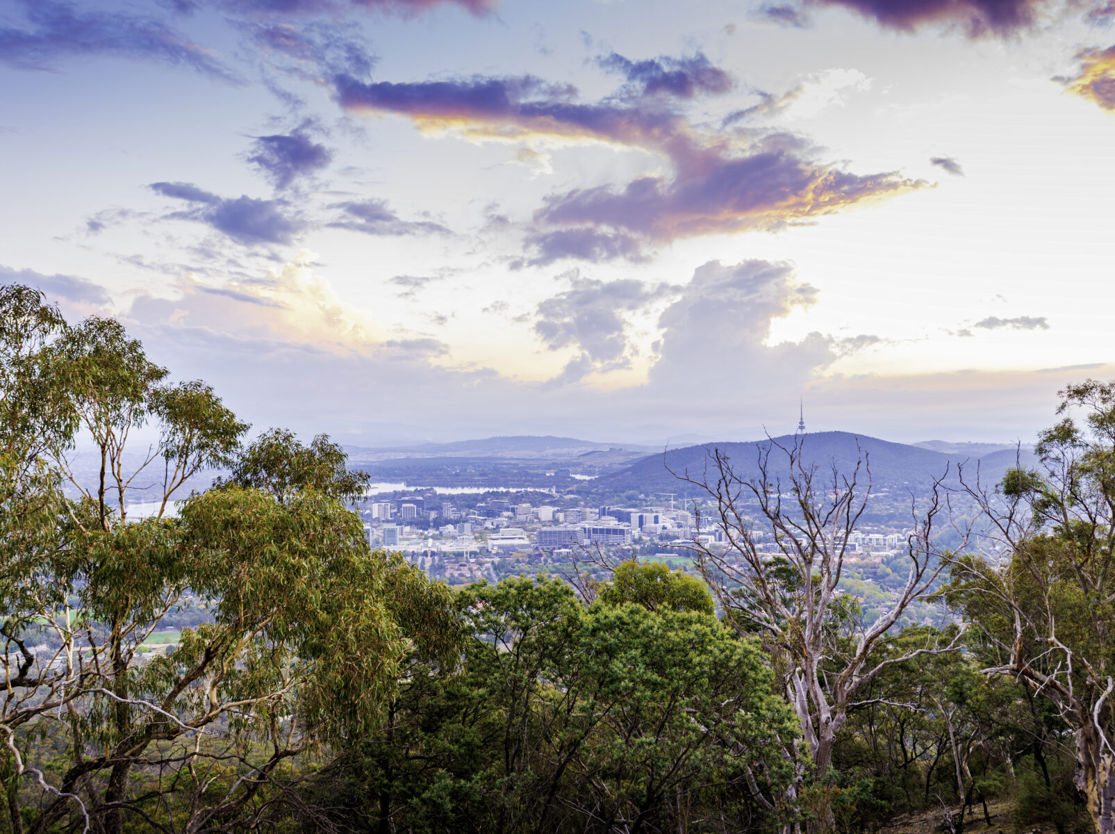 Cultural Heritage in the Australian Capital Territory — ANTAR