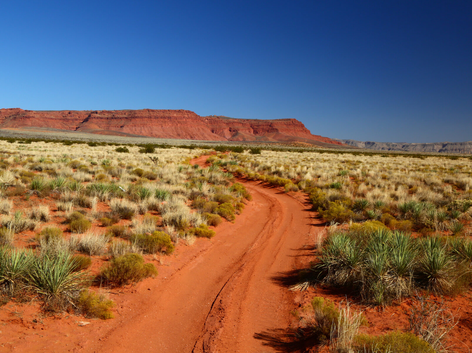 A pathway to change — ANTAR