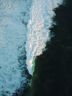 The destruction of Juukan Gorge — ANTAR