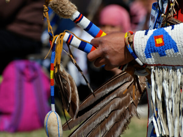 What is UNDRIP? — ANTAR